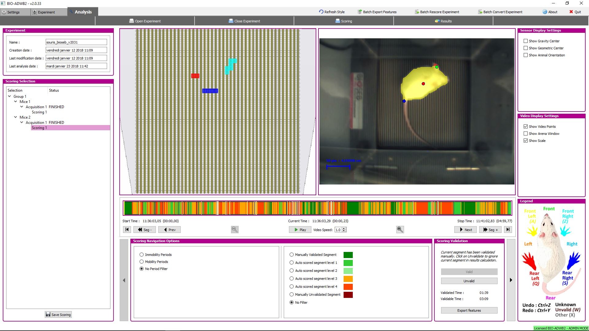 Dynamic Weight Bearing 2.0